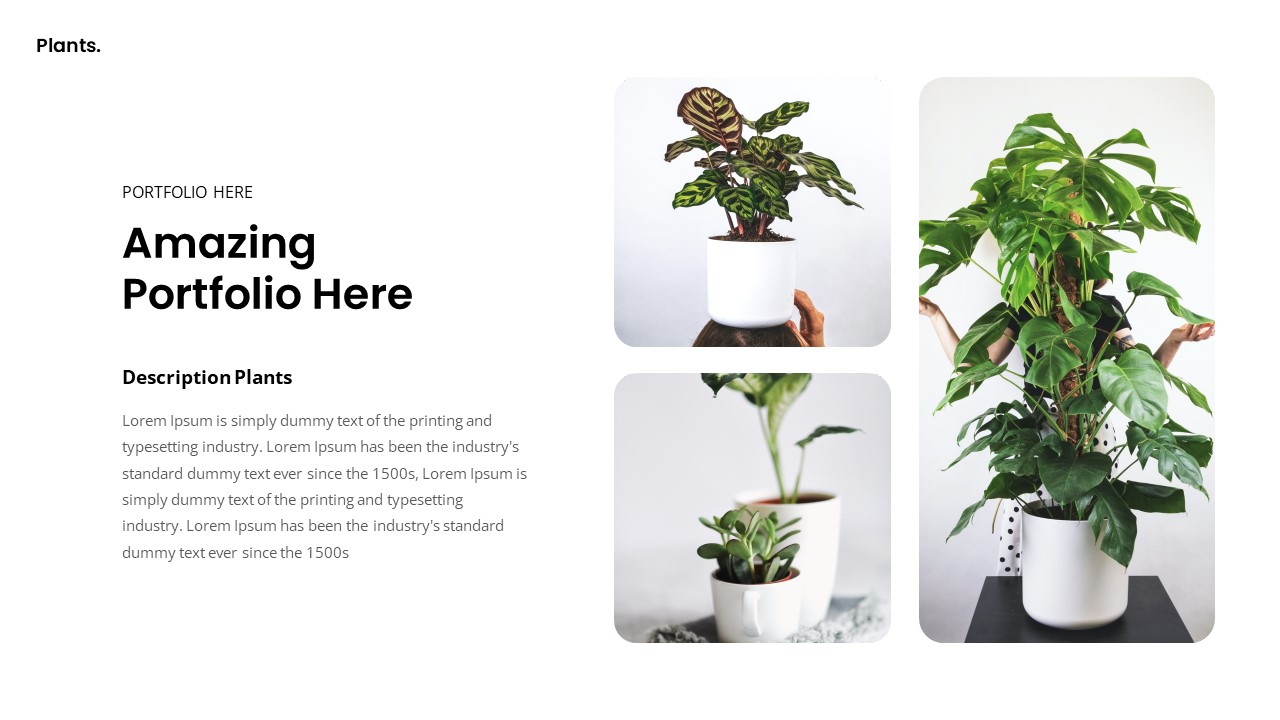 Plants PowerPoint Template, Presentation Templates | GraphicRiver