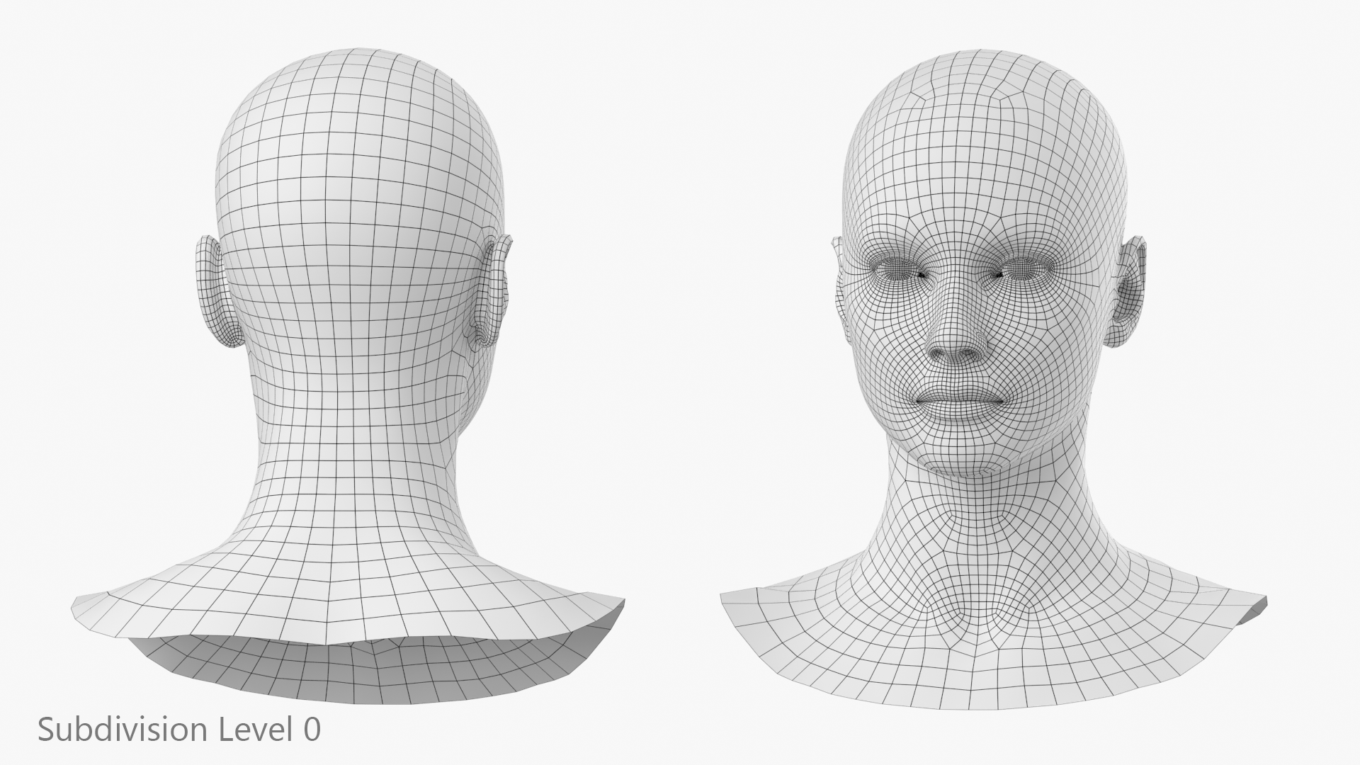 Natural Female Head 01 Base Mesh by valeriik | 3DOcean