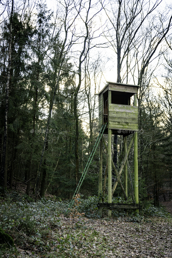 wooden lookout tower in a forest Stock Photo by Chris_Willemsen | PhotoDune