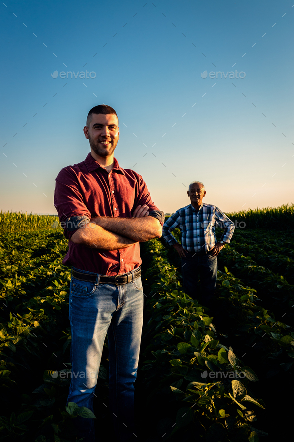 Portrait of two farmers standing in soy field at sunset. Stock Photo by ...