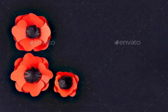 Red poppy flowers on black background. Remembrance Day in Canada, Paper ...