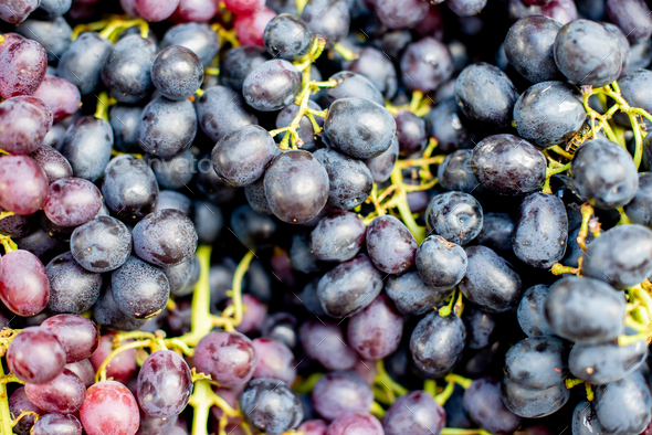 ripe grapes are stacked together and ready to be eaten Stock Photo by ...