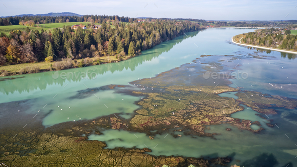 Idyllic river flowing through a lush forest, creating a serene and ...