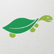 Eco Turtle Logo Template, Logo Templates | GraphicRiver