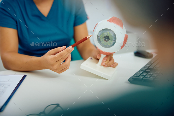 Close up optometrist using anatomical model of human eye while having ...