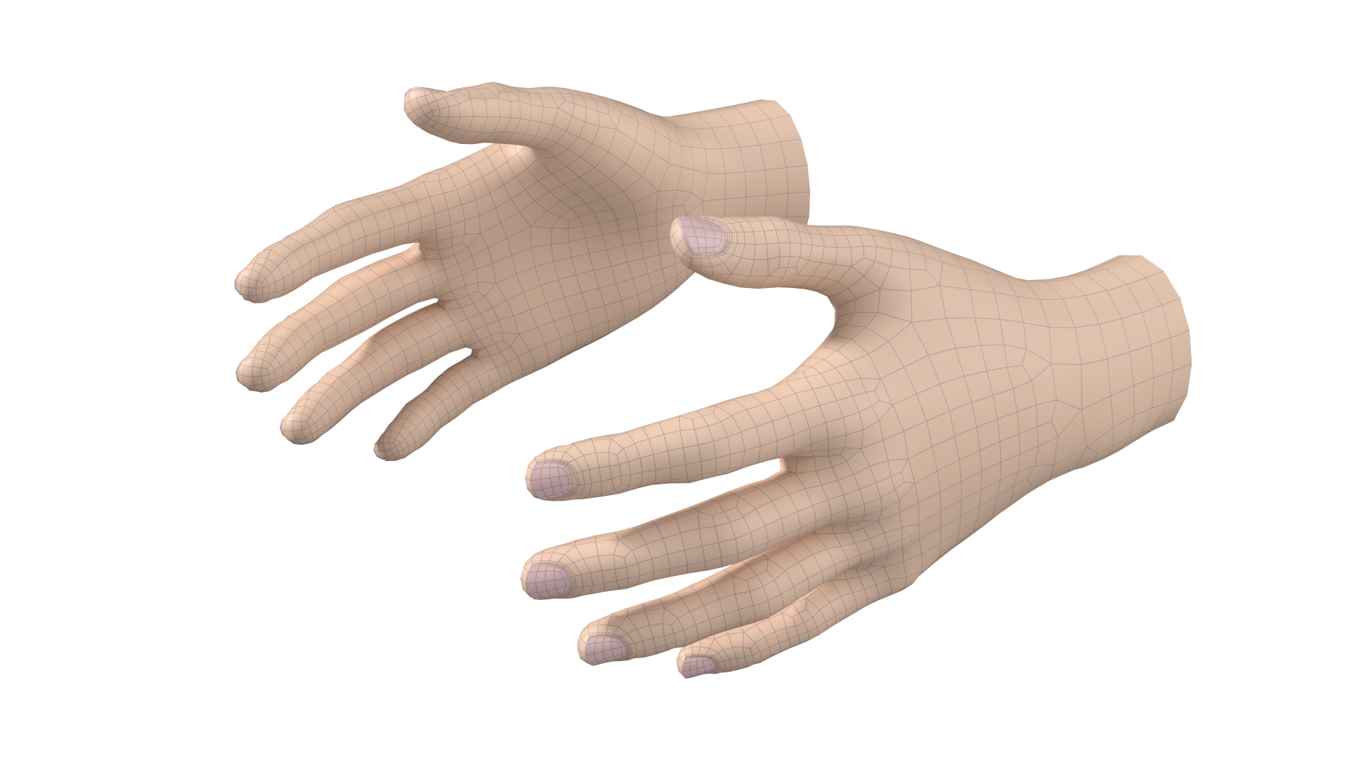 Female Hand Base Mesh 02 by valeriik | 3DOcean