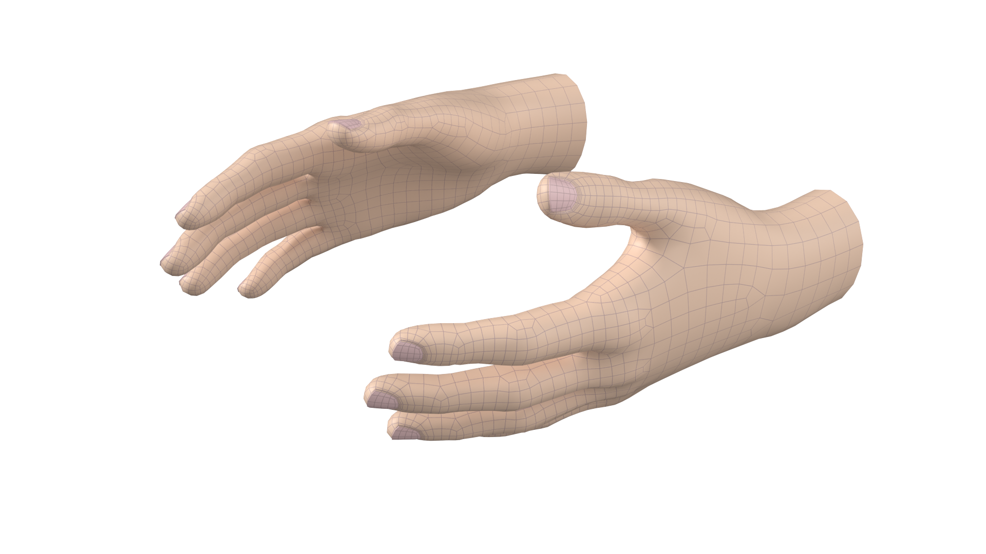 Female Hand Base Mesh 02 by valeriik | 3DOcean