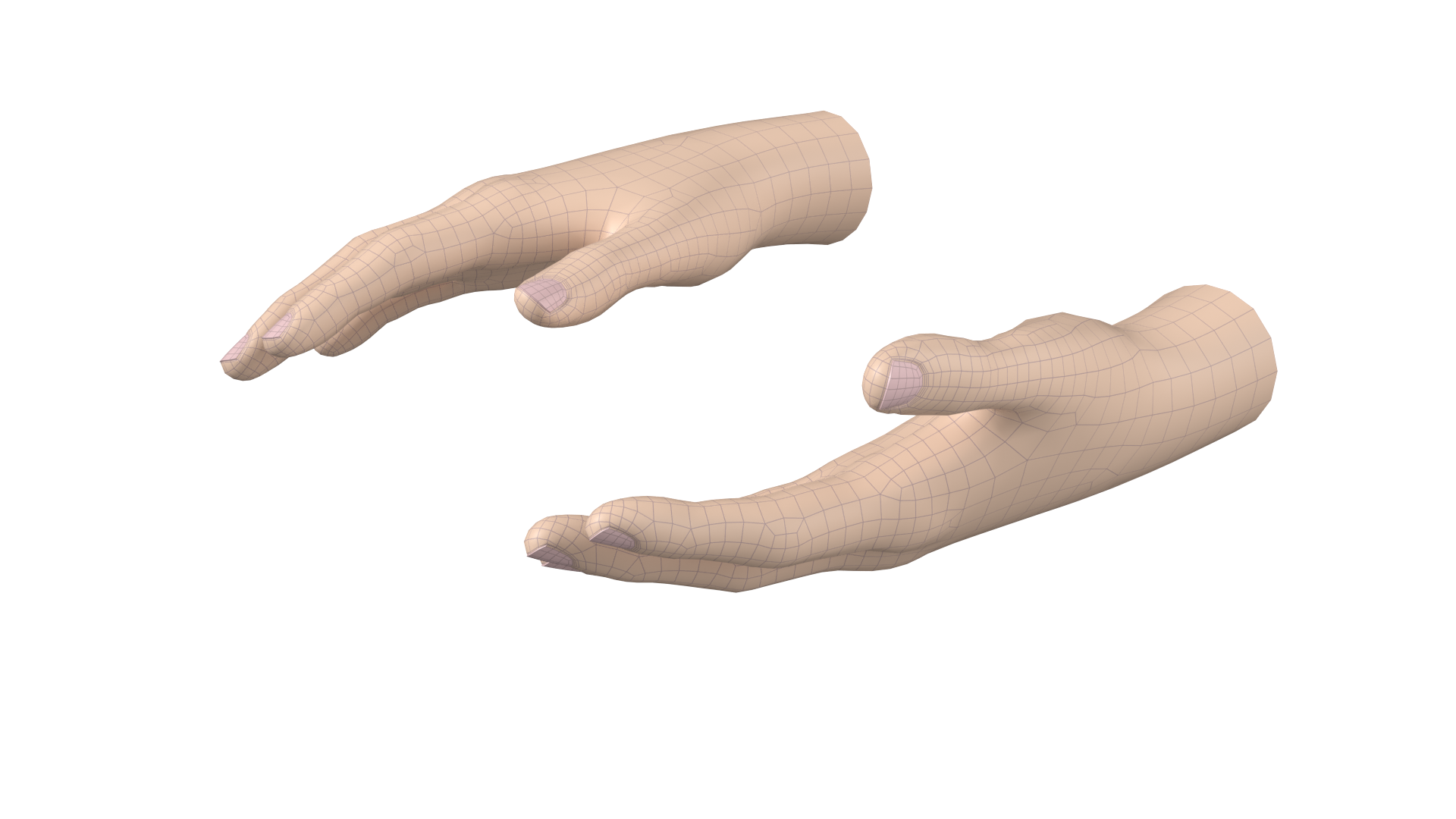 Female Hand Base Mesh 02 by valeriik | 3DOcean