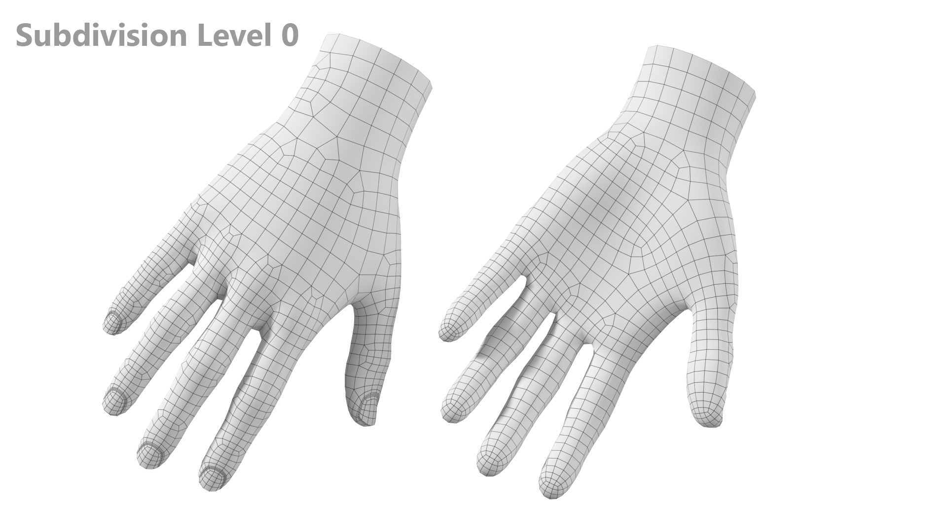 Female Hand Base Mesh 02 by valeriik | 3DOcean