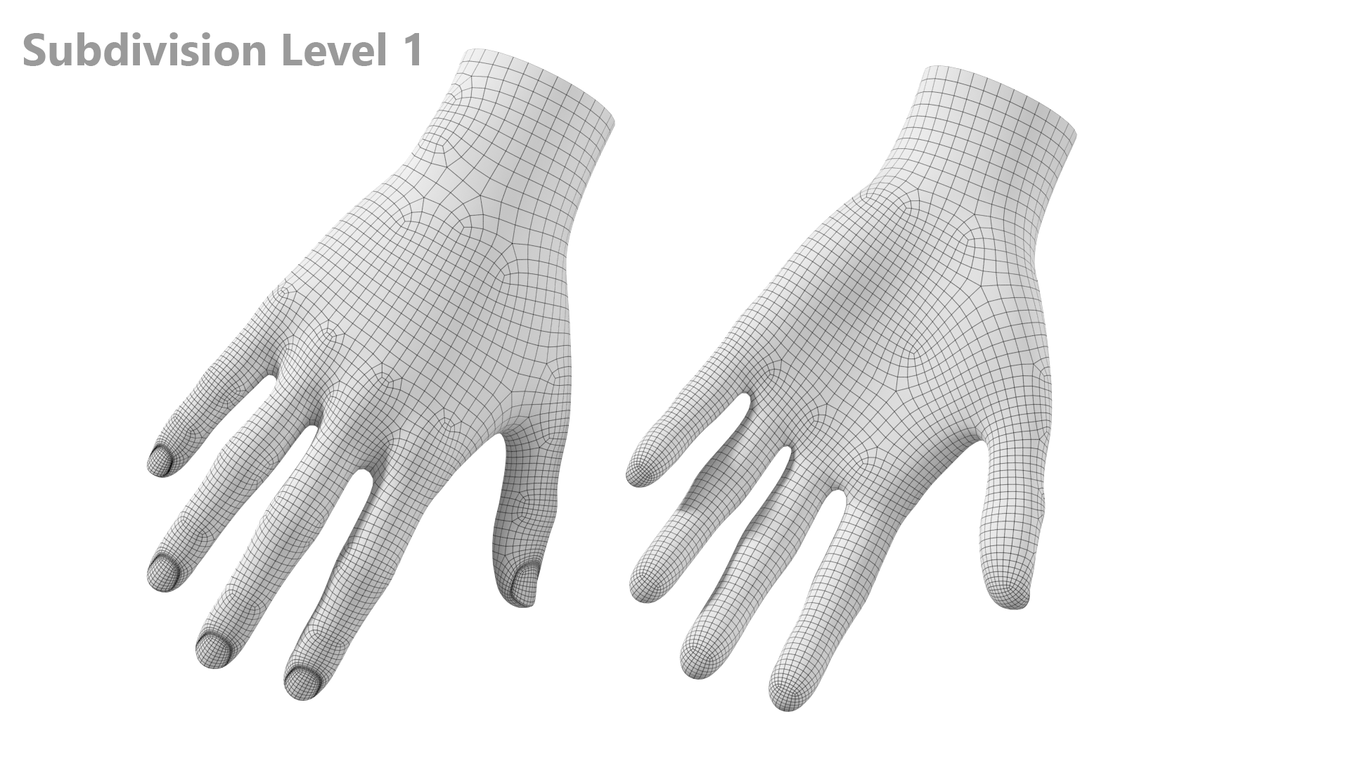 Female Hand Base Mesh 02 by valeriik | 3DOcean