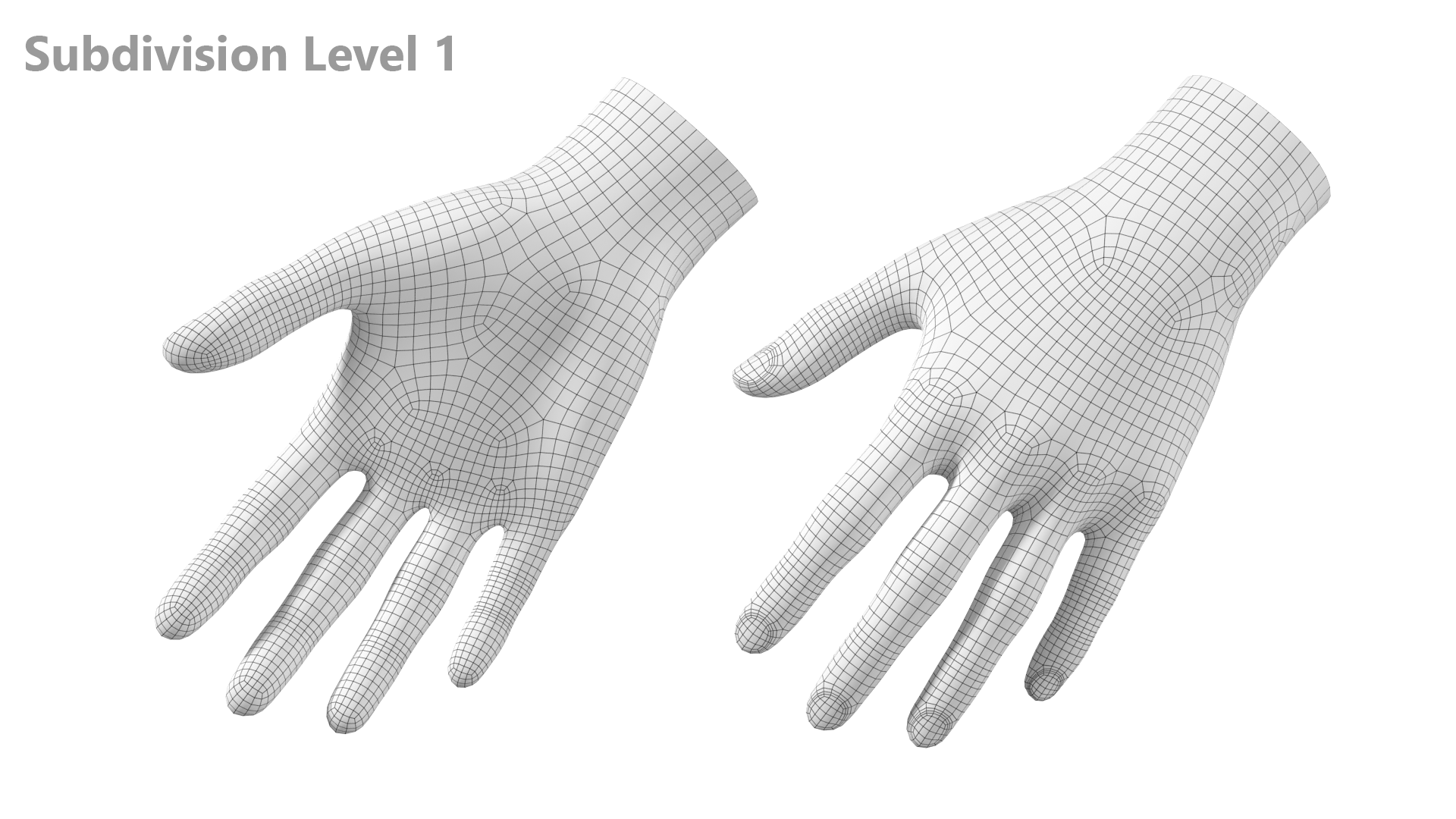 Female Hand Base Mesh 03 by valeriik | 3DOcean