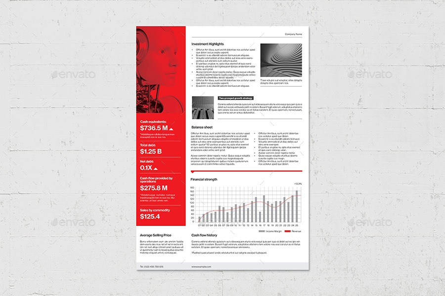 Fact Sheet Template, Print Templates | GraphicRiver