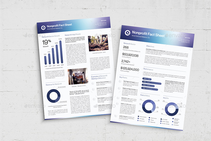 Fact Sheet Template, Print Templates | GraphicRiver