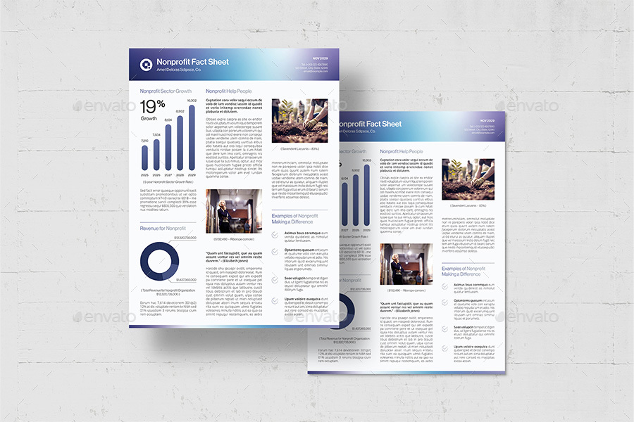 Fact Sheet Template, Print Templates | GraphicRiver