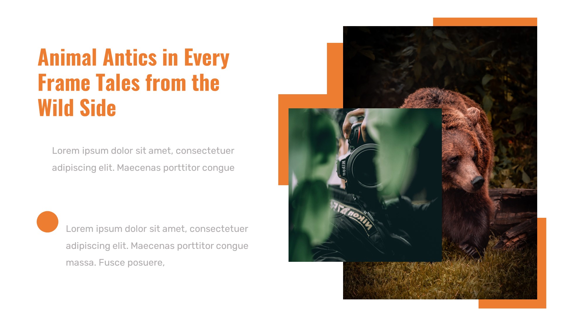 Potosek - Portfolio Photographer Photo Google Slides Template ...