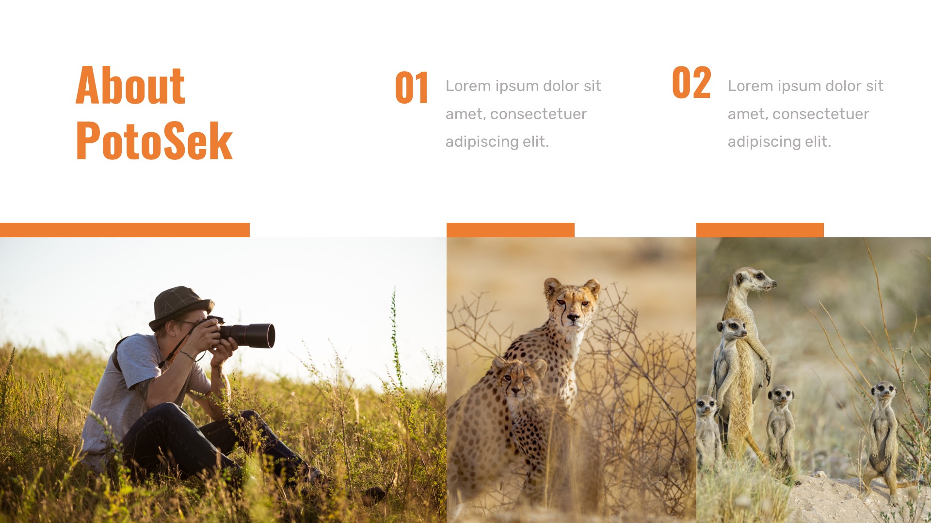 Potosek - Portfolio Photographer Photo Google Slides Template ...