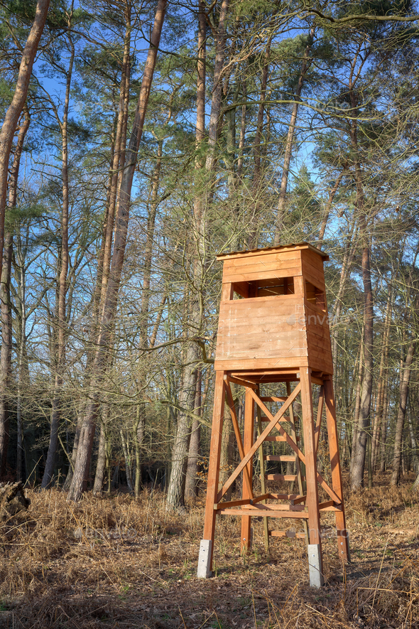 Photo of a deer hunting tower at the edge of the forest. Stock Photo by ...