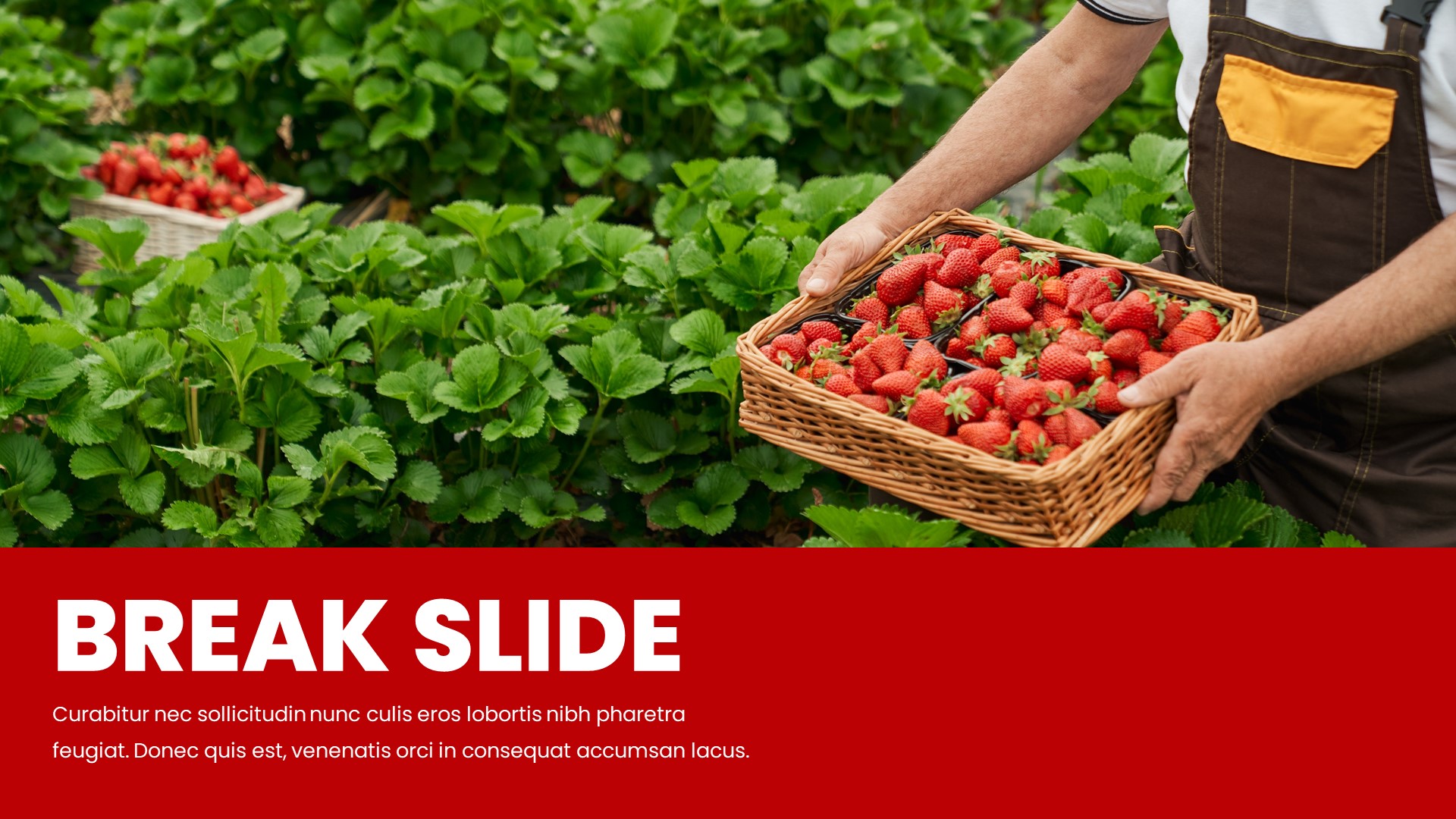 Fresh Fruit Google Slides Template, Presentation Templates | GraphicRiver