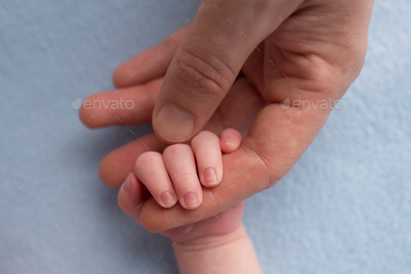 The newborn baby has a firm grip on the parent's finger after birth ...