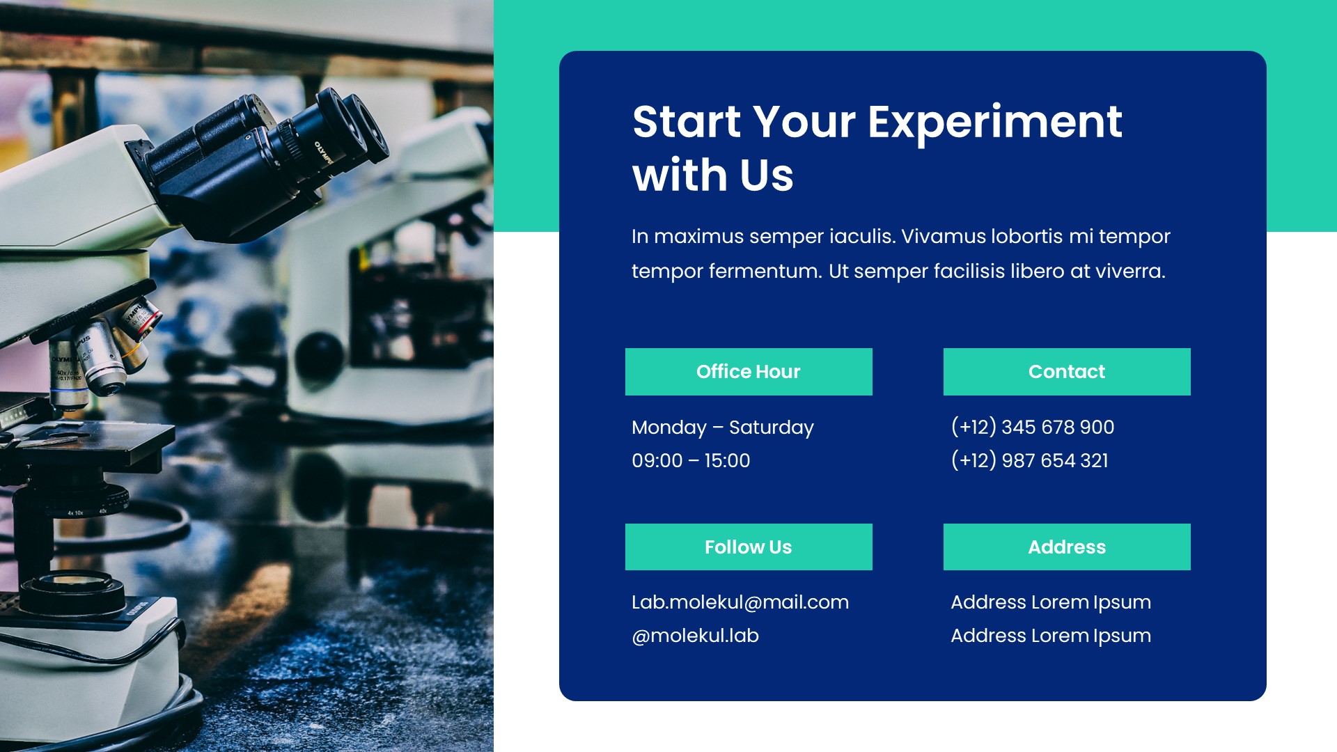 Molekul - Laboratory and Science Research Keynote Template ...