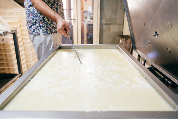 Crop male worker checking curdling process with metal tool Stock Photo ...