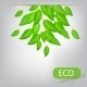 Eco Leaves Background, Vectors | GraphicRiver