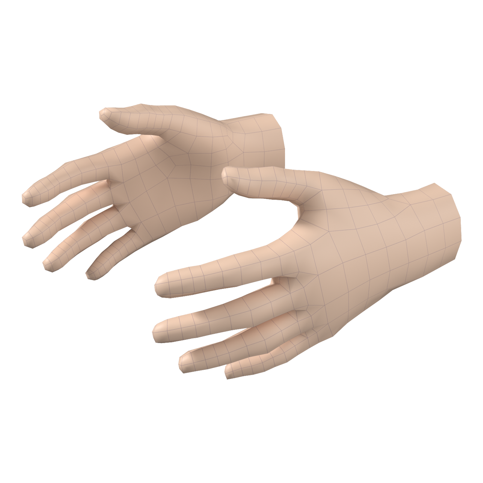 Female Hand Base Mesh 08 by valeriik | 3DOcean