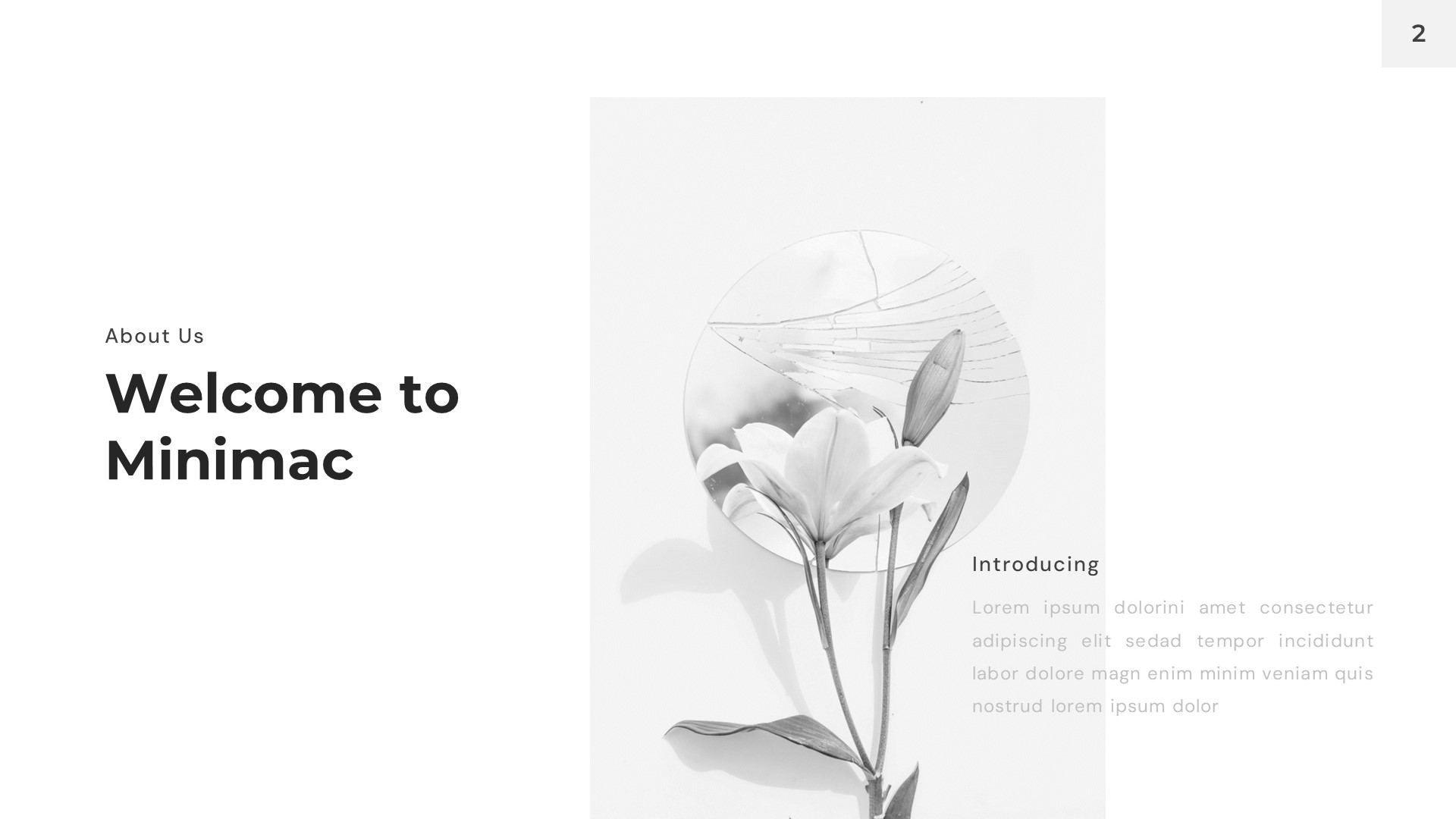 Minimac – Minimal PowerPoint Template, Presentation Templates ...