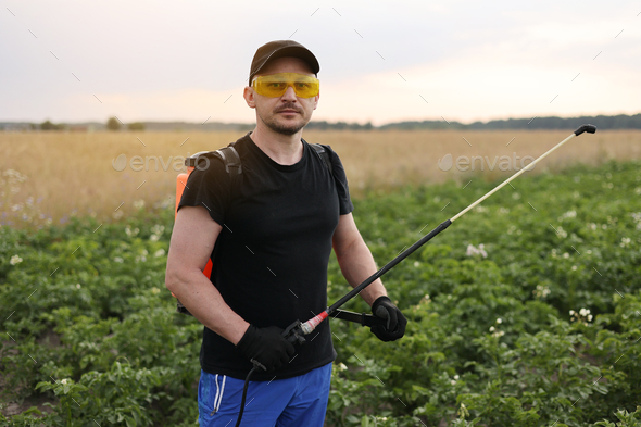 Farmer in protective glasses and gloves with mist sprayer treats potato ...