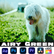 Airy Green Filter Lightroom Presets - Photoshop And luts Videos ...