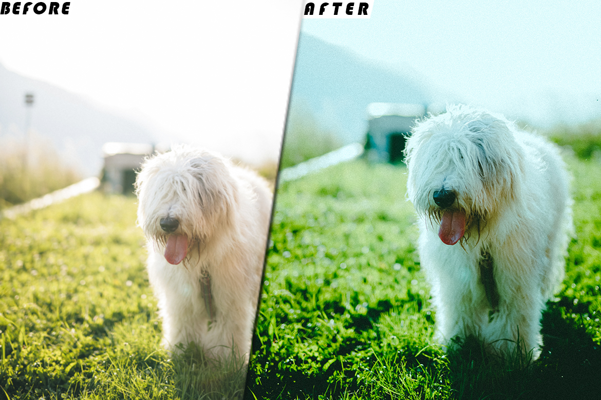 Airy Green Filter Lightroom Presets - Photoshop And luts Videos ...
