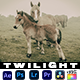 Twilight Filter Lightroom Presets - Photoshop And luts Videos Premiere ...