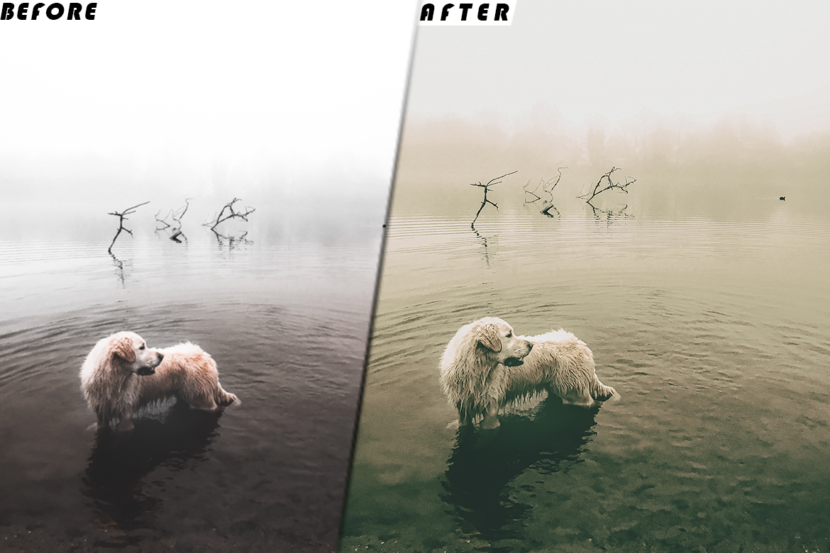Twilight Filter Lightroom Presets - Photoshop And luts Videos Premiere ...