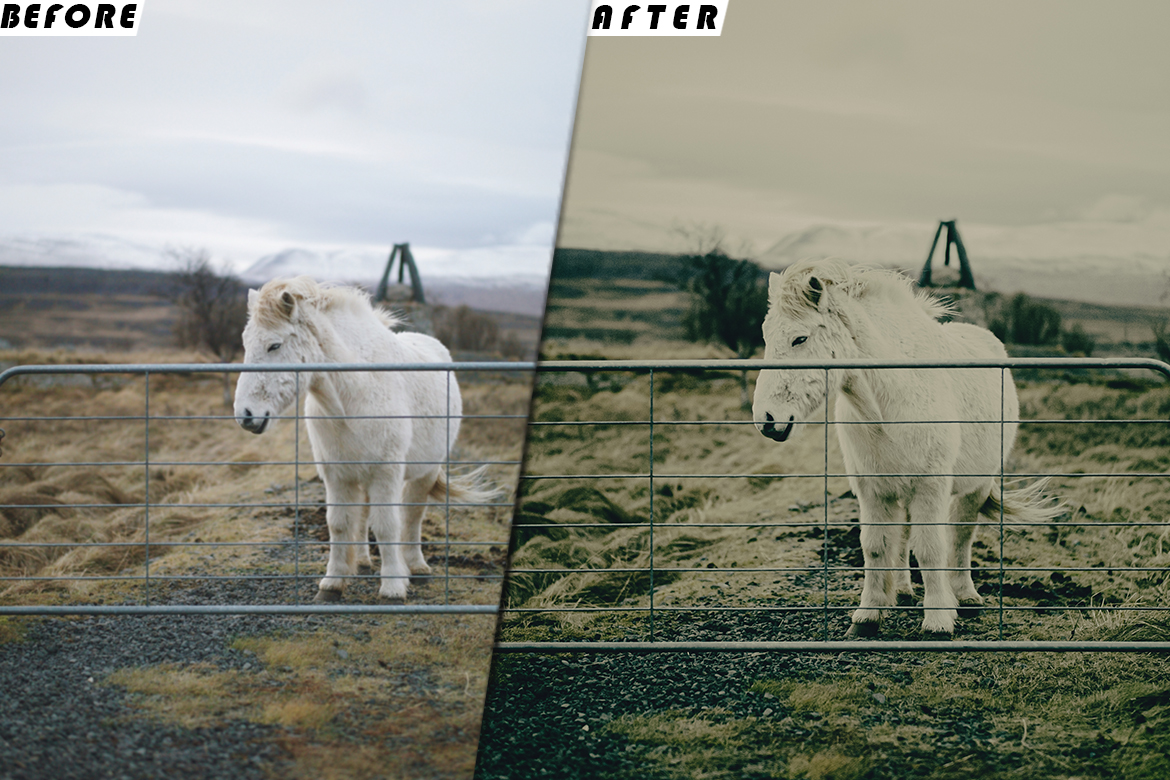 Twilight Filter Lightroom Presets - Photoshop And luts Videos Premiere ...