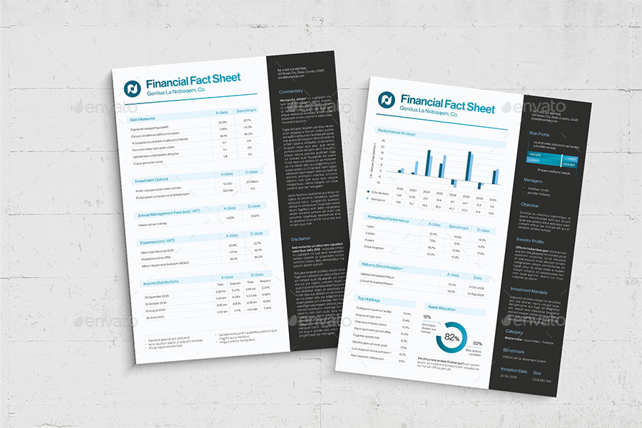 Finance Fact Sheet Template, Print Templates | GraphicRiver