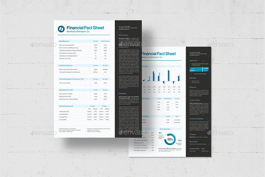 Finance Fact Sheet Template, Print Templates | GraphicRiver