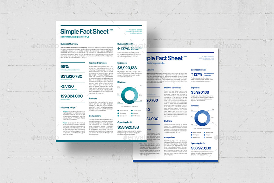 Simple Factsheet Template, Print Templates | GraphicRiver