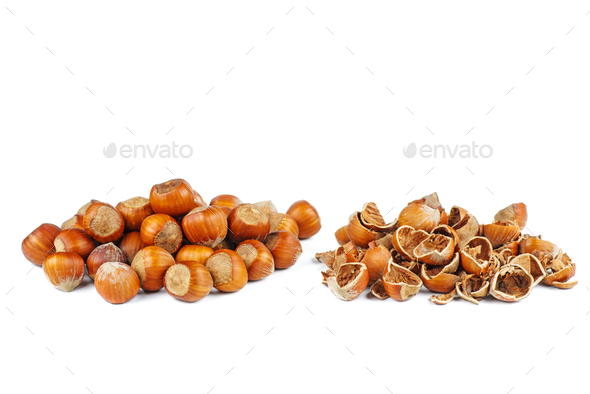 Pile of hazelnuts and husks Stock Photo by digitalr | PhotoDune