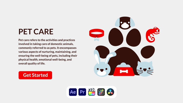 Pet Care Design Concept, After Effects Project Files | VideoHive