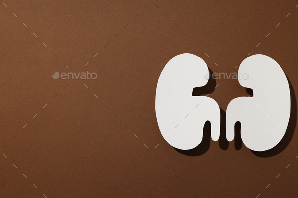 Kidneys on a brown background, top view. Stock Photo by AtlasComposer