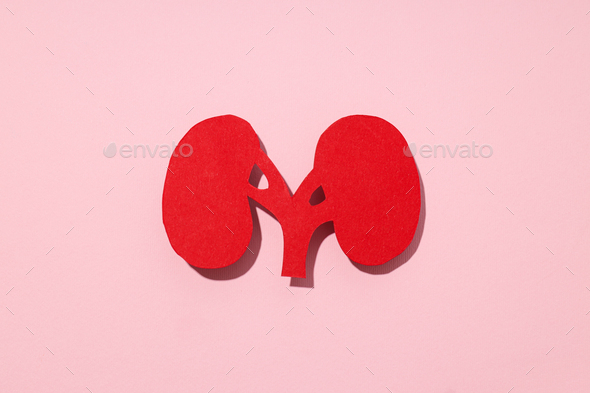 Kidneys on a pink background, top view. Stock Photo by AtlasComposer