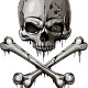 Decrepit Skull With Two Crossed Bones, Vectors | GraphicRiver