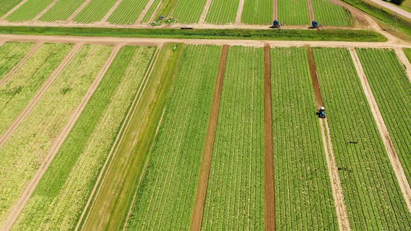Agricultural Land with Green Crops From Above, Stock Footage | VideoHive