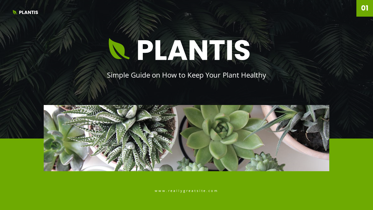 Plantis - Botany Powerpoint Templates, Presentation Templates ...