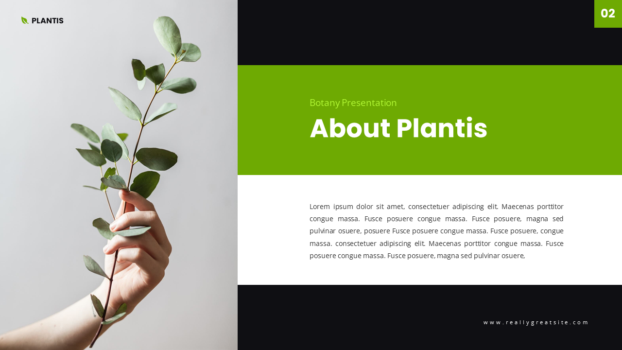 Plantis - Botany Powerpoint Templates, Presentation Templates ...