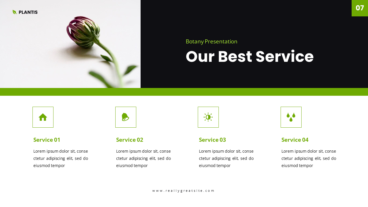 Plantis - Botany Powerpoint Templates, Presentation Templates ...