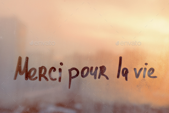 Handwritten text Merci pour la vie in French Thanks for life in english ...