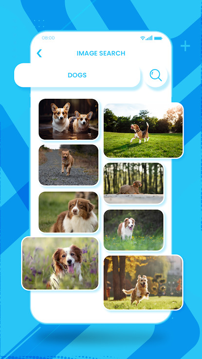 Reverse Image Finder App by CrystalApp | CodeCanyon