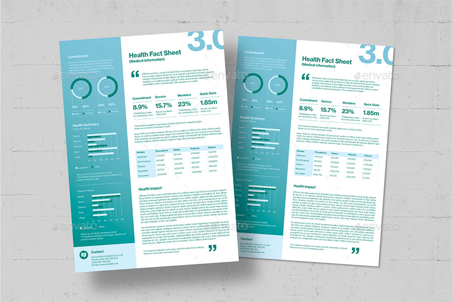 Fact Sheet Template, Print Templates | GraphicRiver