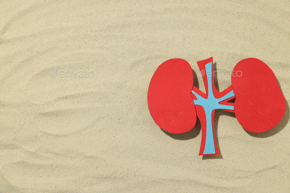Kidneys on the sand with stones, National Kidney Month. Stock Photo by ...